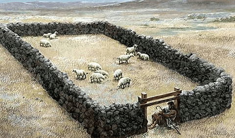 I Am the Door of the Sheep – Threads of Grace